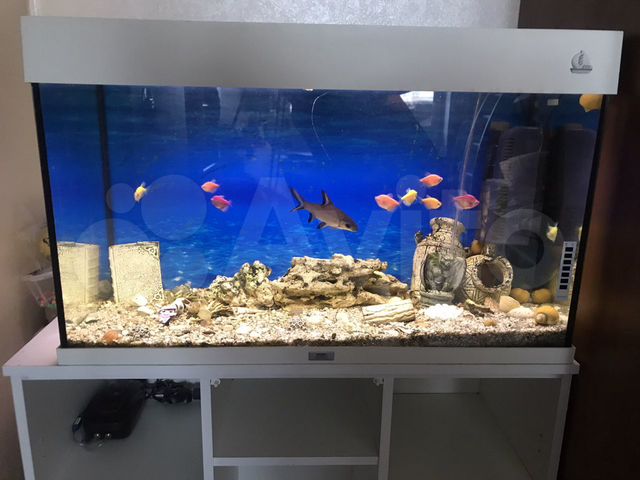 Аквариум juwel 120л