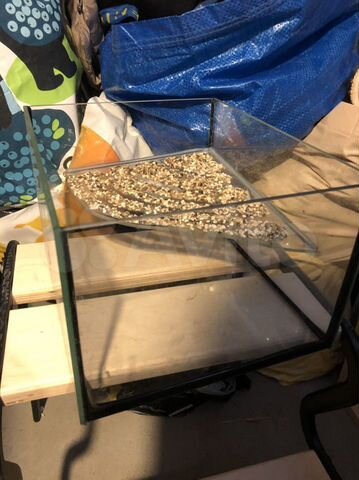 Черепашник